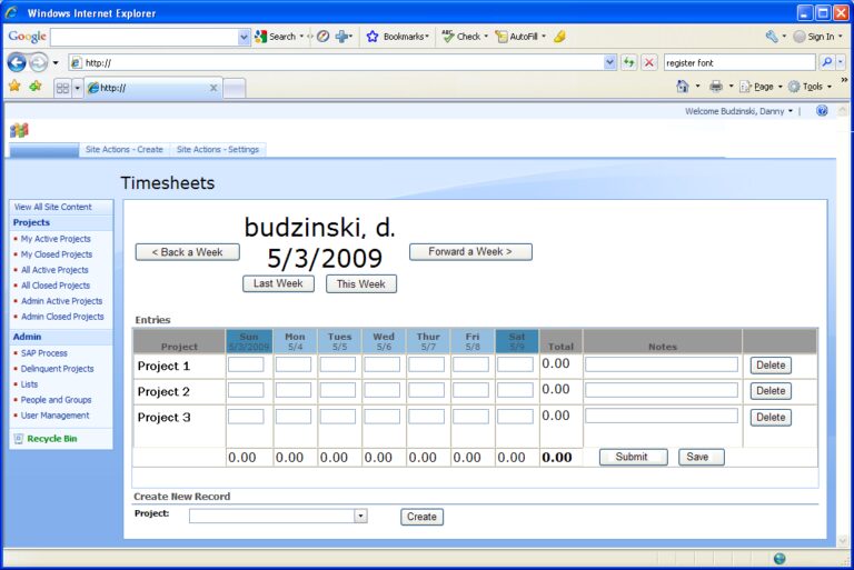 SharePoint Timesheet Entry Portal | DMC, Inc.